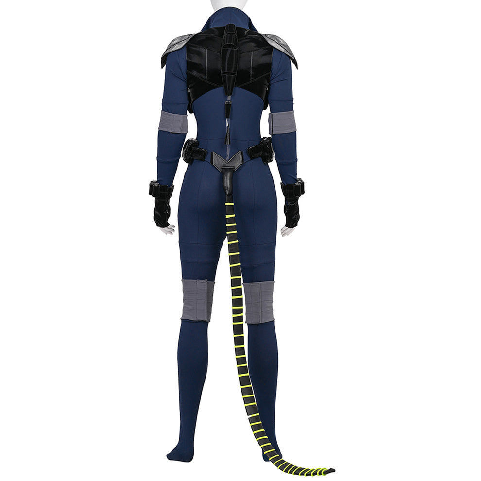 Absolute Catwoman Selina Kyle Cosplay Costume – Gcosplay