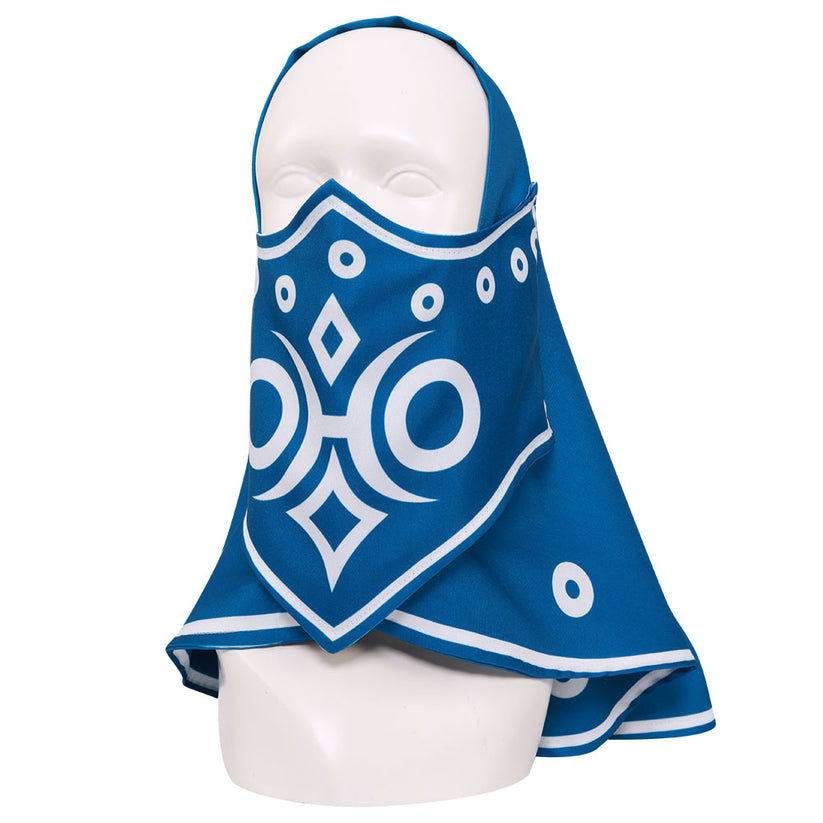 The Legend of Zelda: Breath of the Wild Female Link Gerudo Outfit Cosp ...