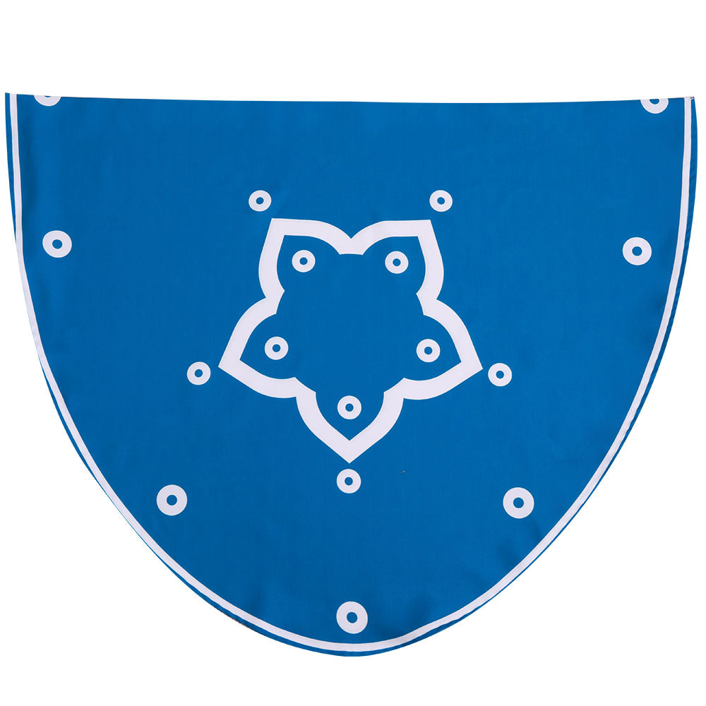 The Legend of Zelda: Breath of the Wild Female Link Gerudo Outfit Cosp ...