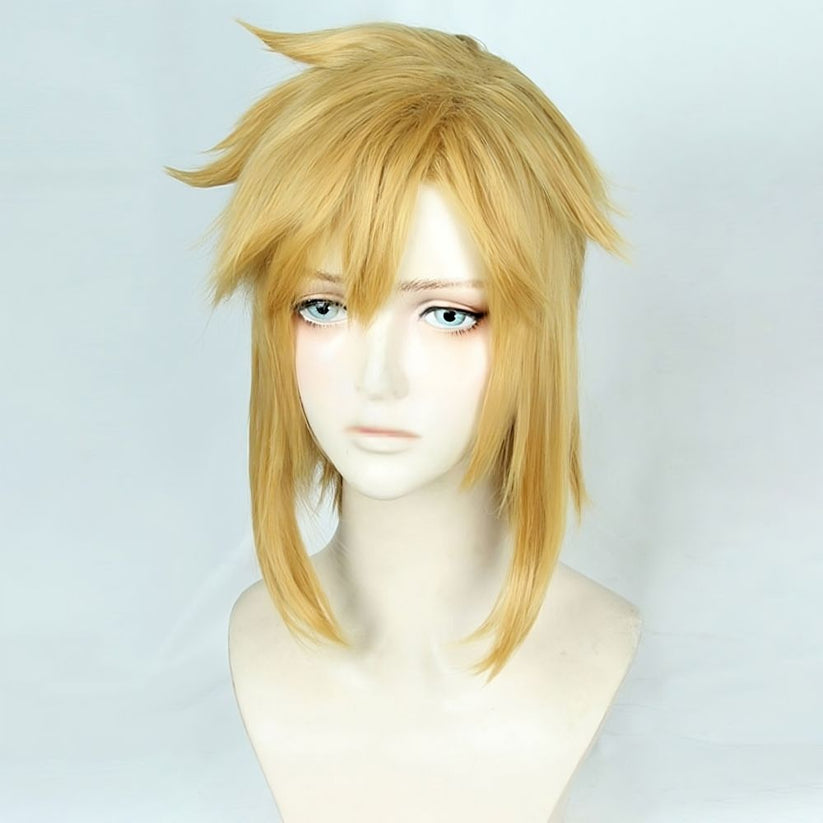 The Legend of Zelda: Breath of the Wild Link Gloden Cosplay Wig – Gcosplay